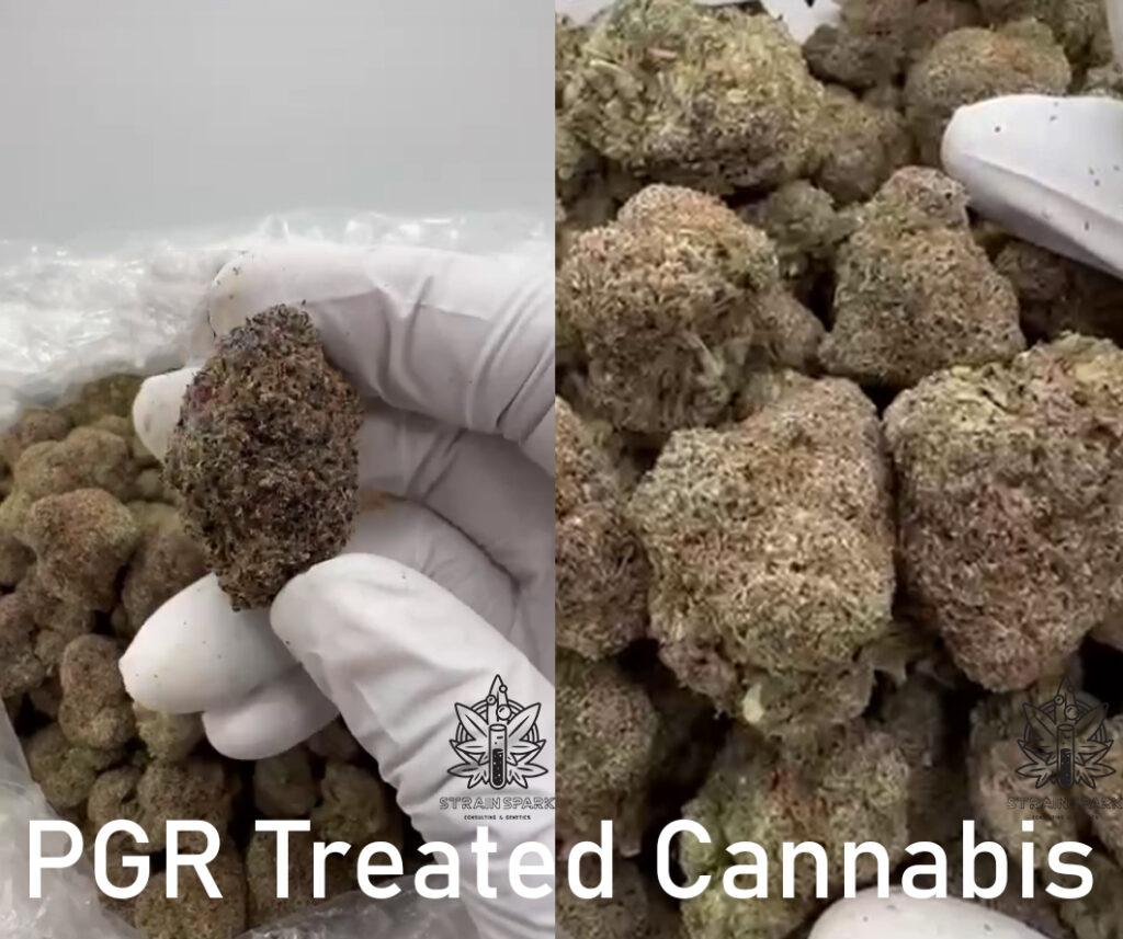 The Dangers of Plant Growth Regulators (PGR) in the Cannabis Industry ...
