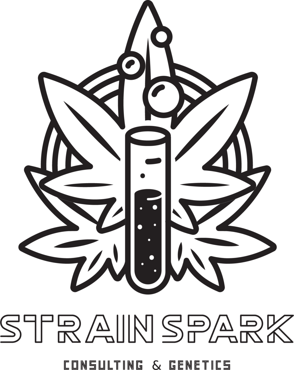 Get In Touch – Strain Spark