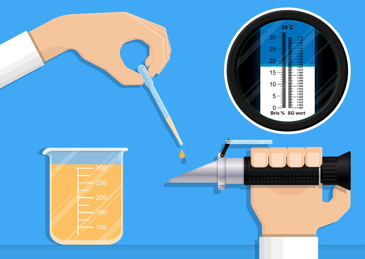 The Importance of Brix in Cannabis Plants – Strain Spark